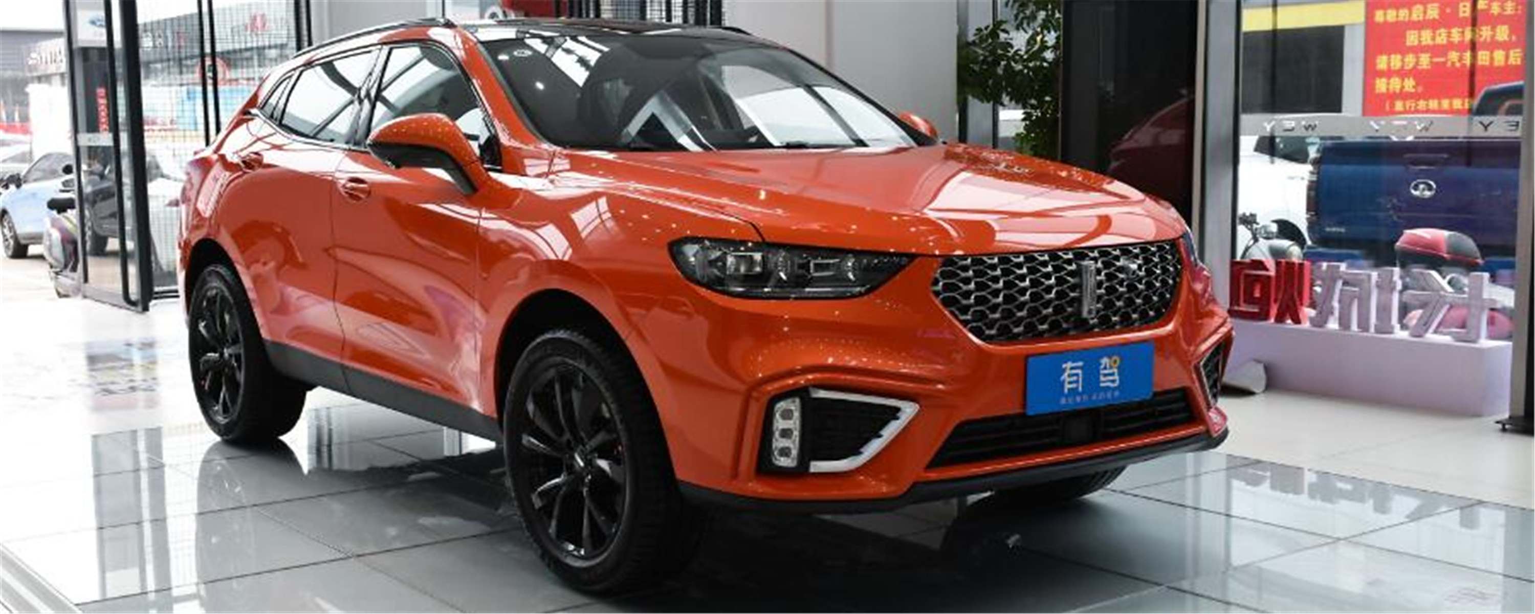 vv5和vv6差别是什么？-有驾