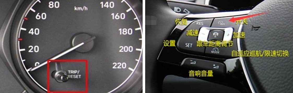 trlp在车上是什么意思？-有驾