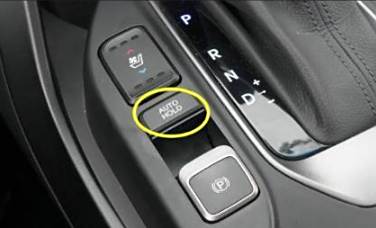 avh自动驻车系统什么意思-有驾