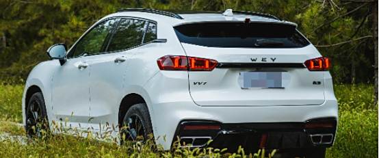 wey是什么牌子的汽车-有驾