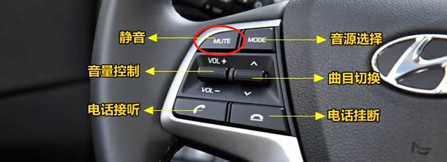 mute是什么意思车-有驾