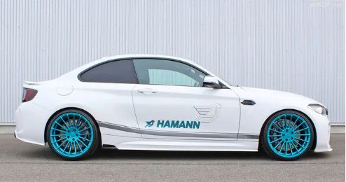 hamann是什么车的标志-有驾