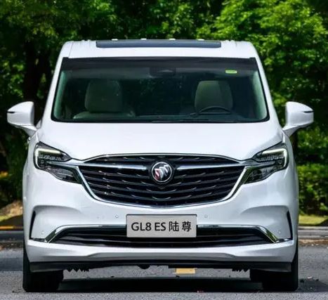 gl8艾维亚和陆尊有什么区别-有驾