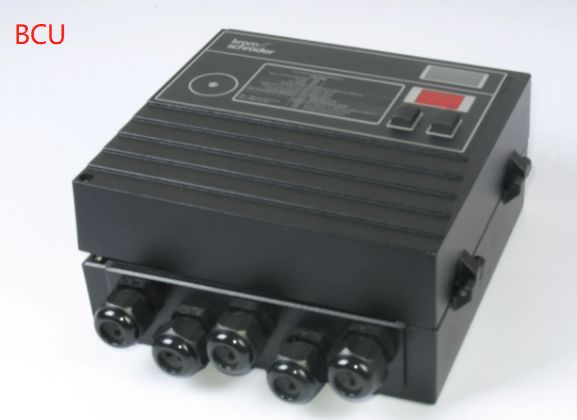 bcu是什么意思车上的-有驾
