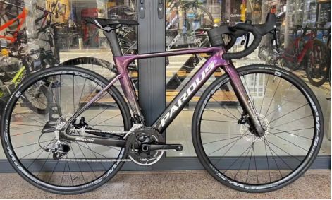 pardus是什么牌子自行车-有驾